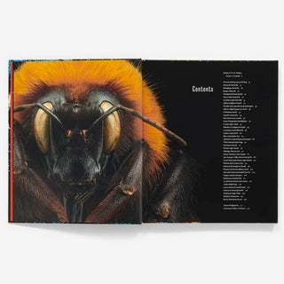 Extinct & Endangered: Insects in Peril – Vital Industries